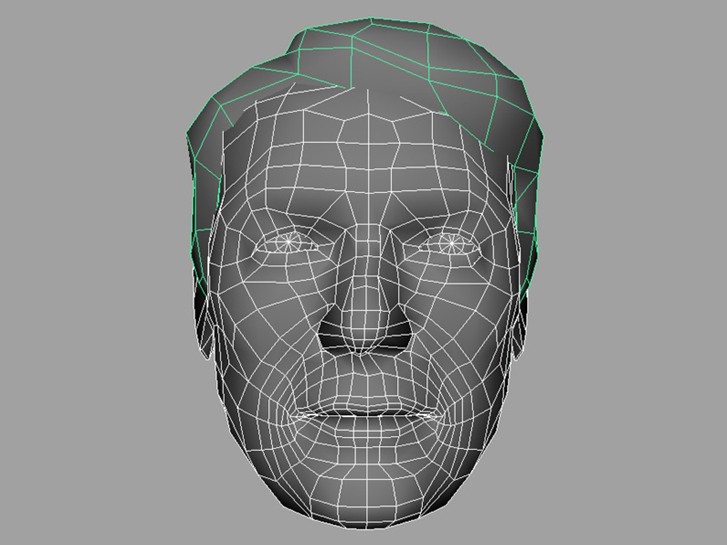 3ds max faces