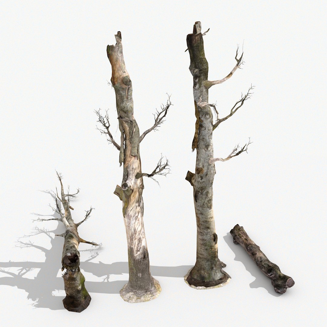 3D Ready Dead Trees - TurboSquid 1379663