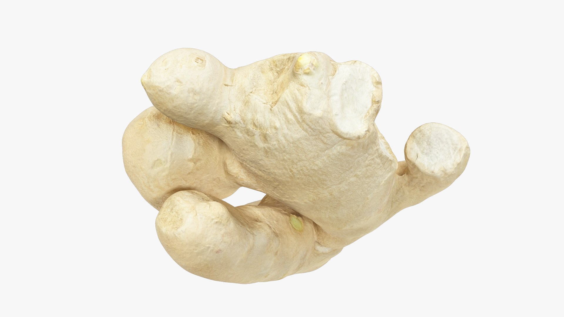 3D Ginger V1 - TurboSquid 2189047