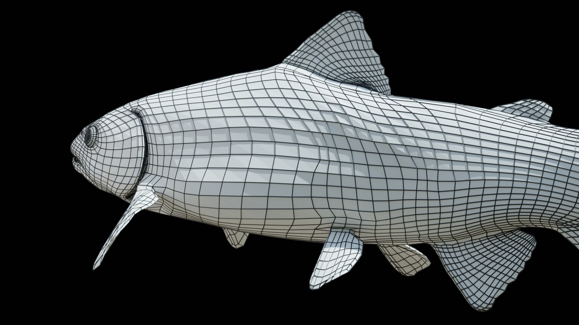 3D Model Brown Trout - TurboSquid 1938036