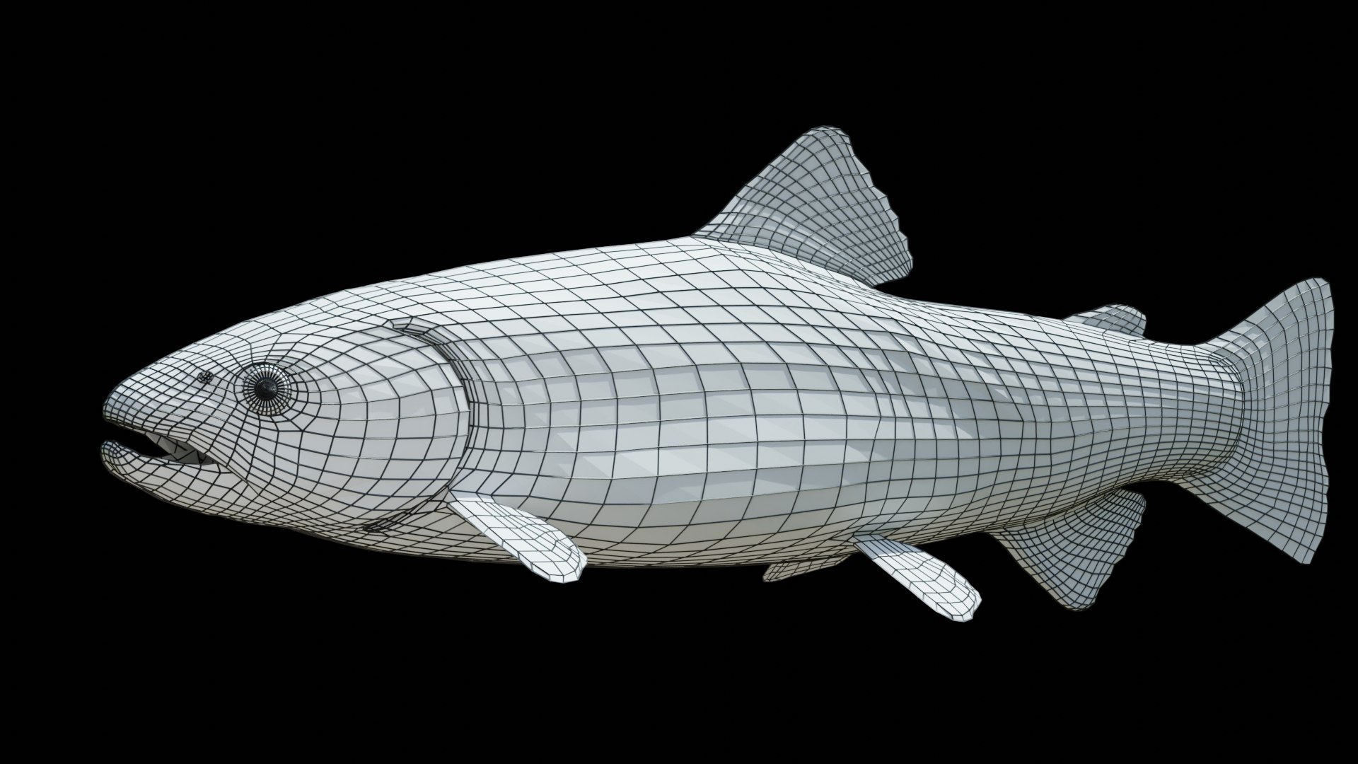 3D Model Brown Trout - TurboSquid 1938036