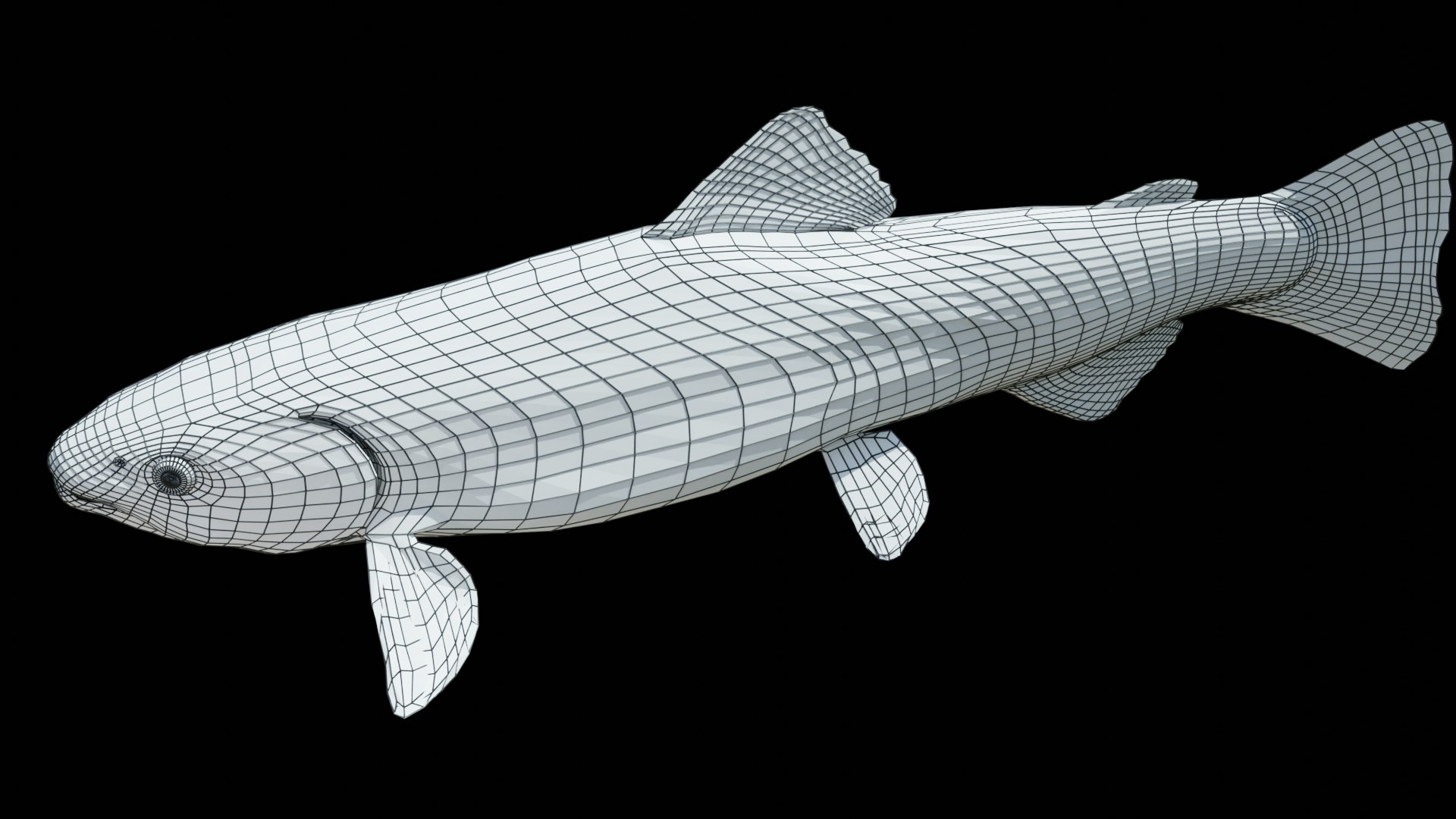 3D Model Brown Trout - TurboSquid 1938036