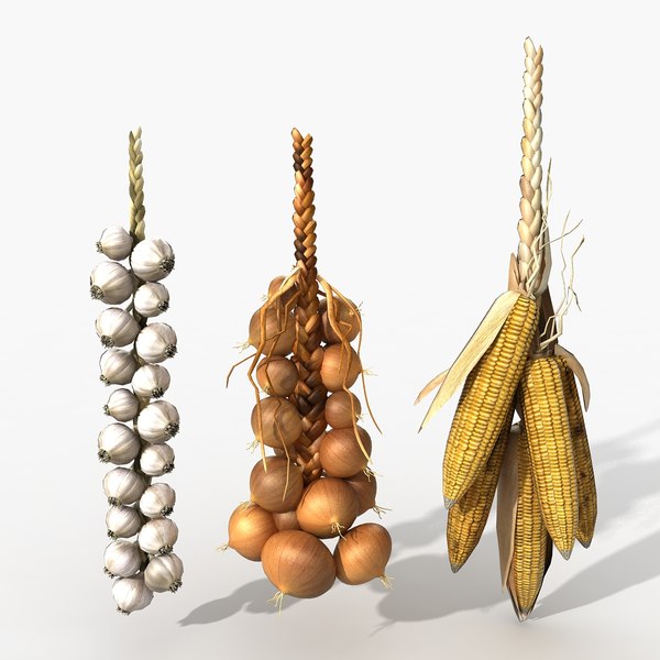 3d corn stalks model