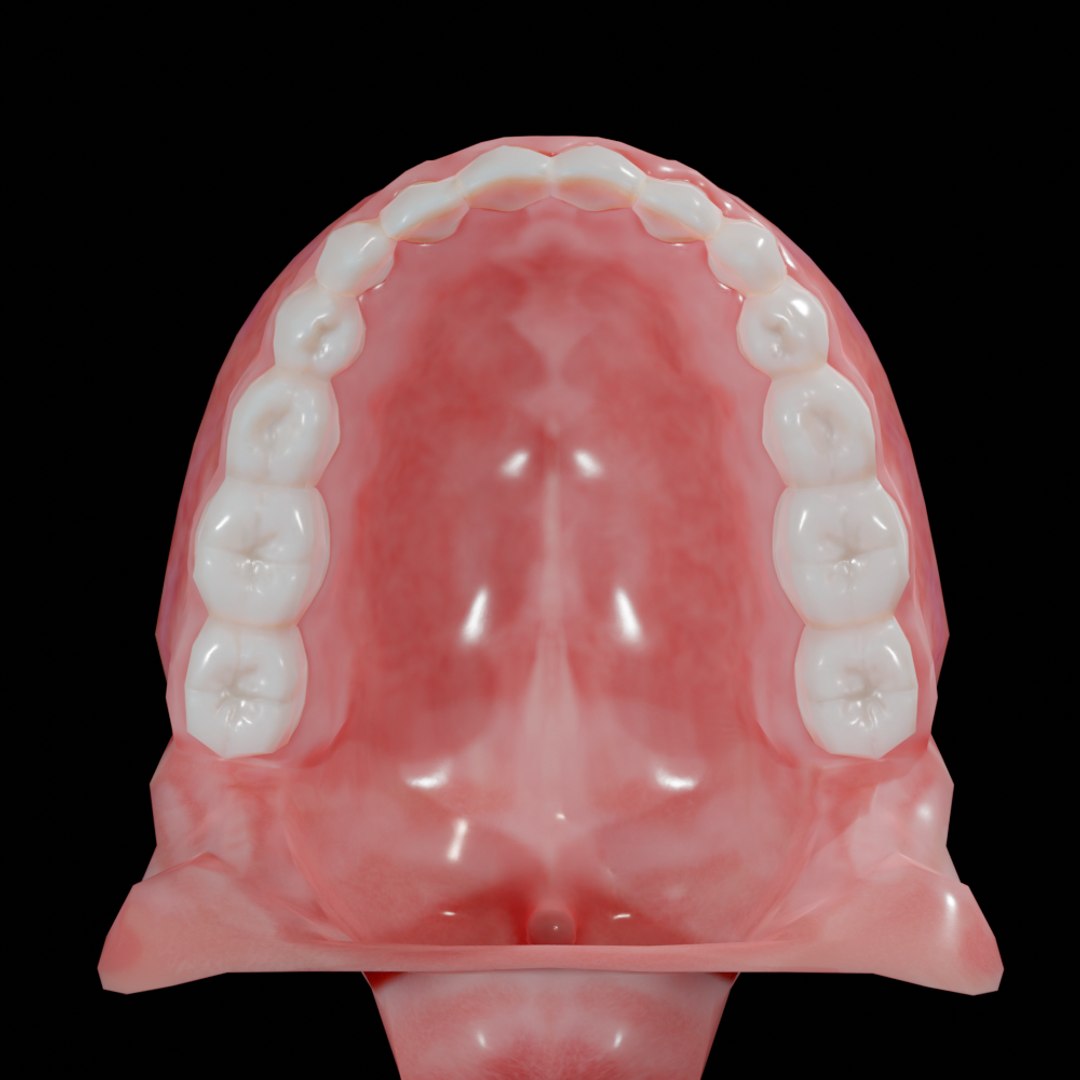 Human Mouth For Characters Low-poly Model - TurboSquid 1817481