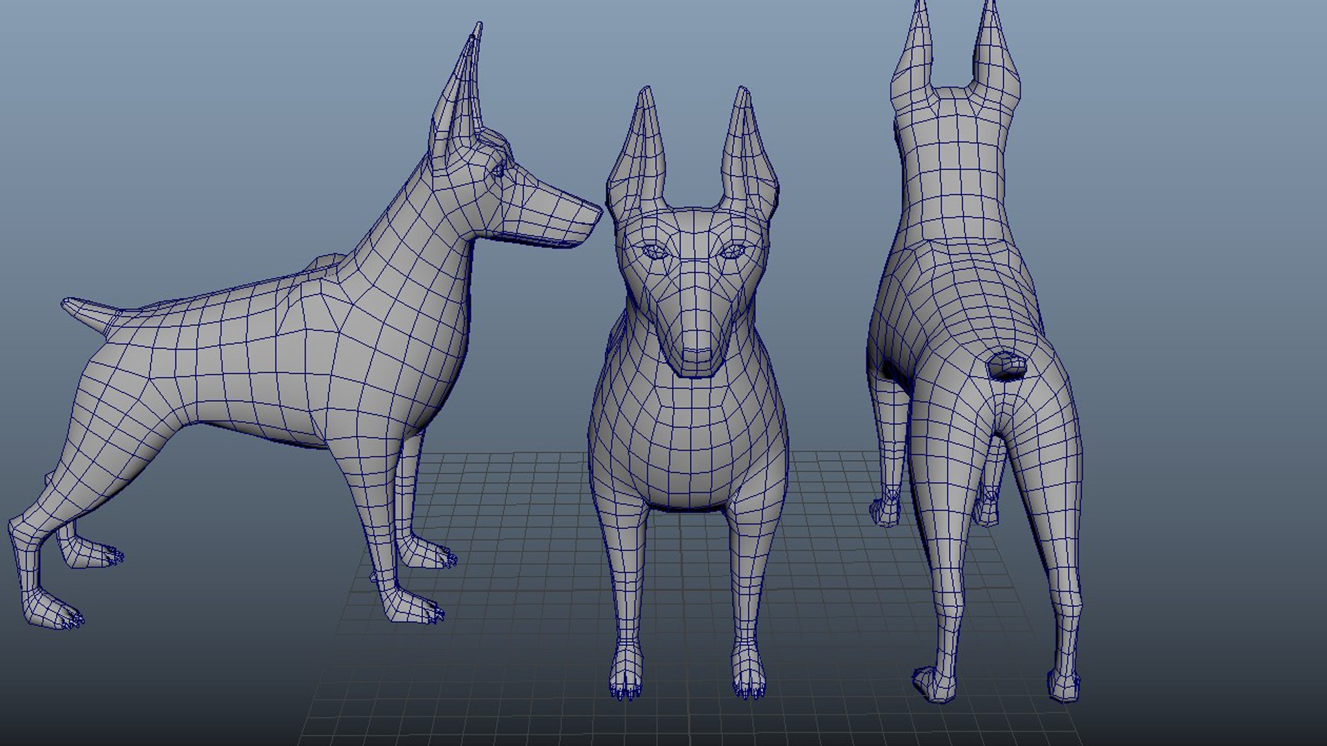 Dog Animations Model - TurboSquid 1865484