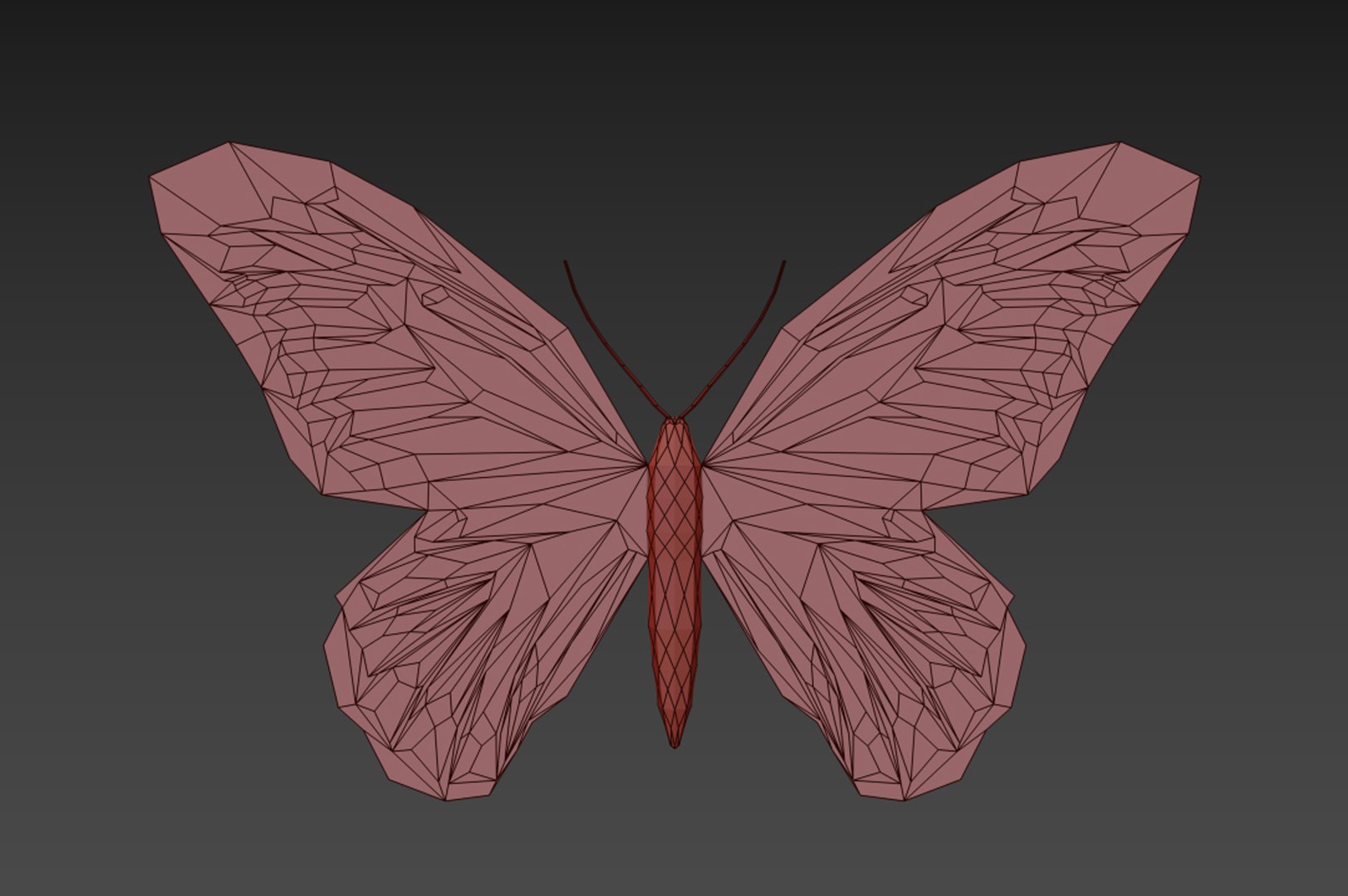 Free Butterfly Poly Color Free 3D - TurboSquid 1754201