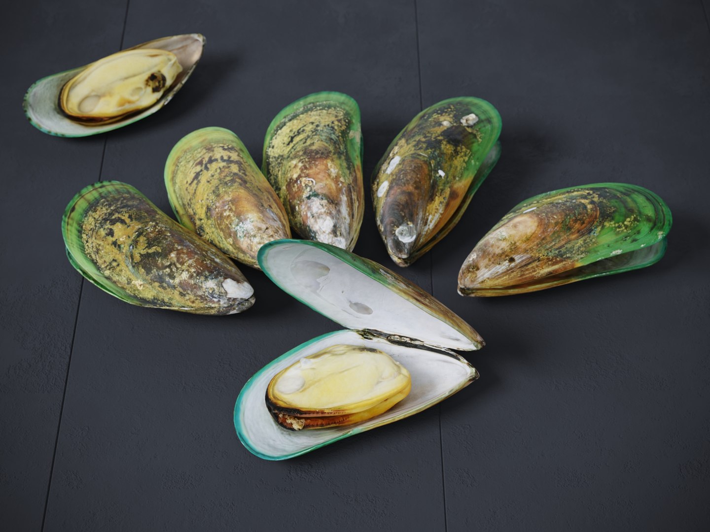 3D Mussel Green Shell - TurboSquid 2103009