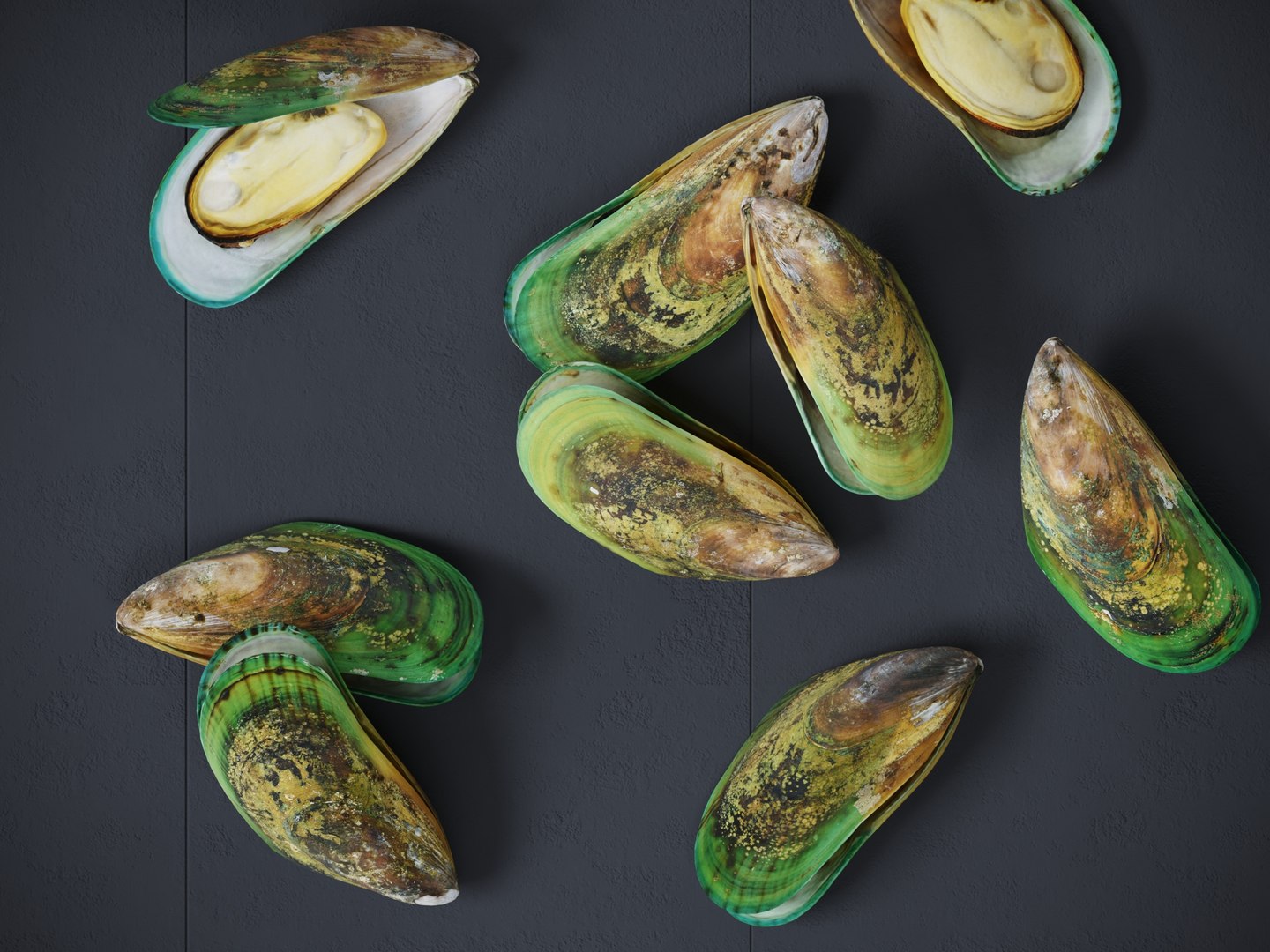 3D Mussel Green Shell - TurboSquid 2103009