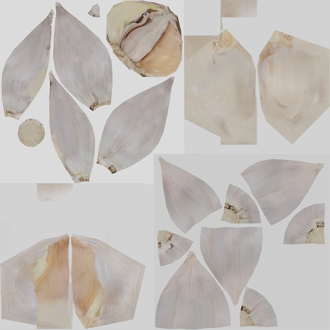 3D Garlic Collection - TurboSquid 2385528