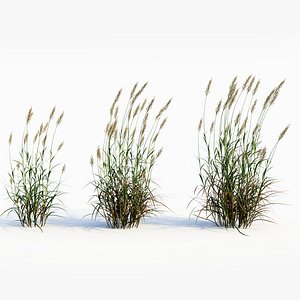 SketchUp Grass Models | TurboSquid