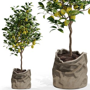 3d tomato plant model