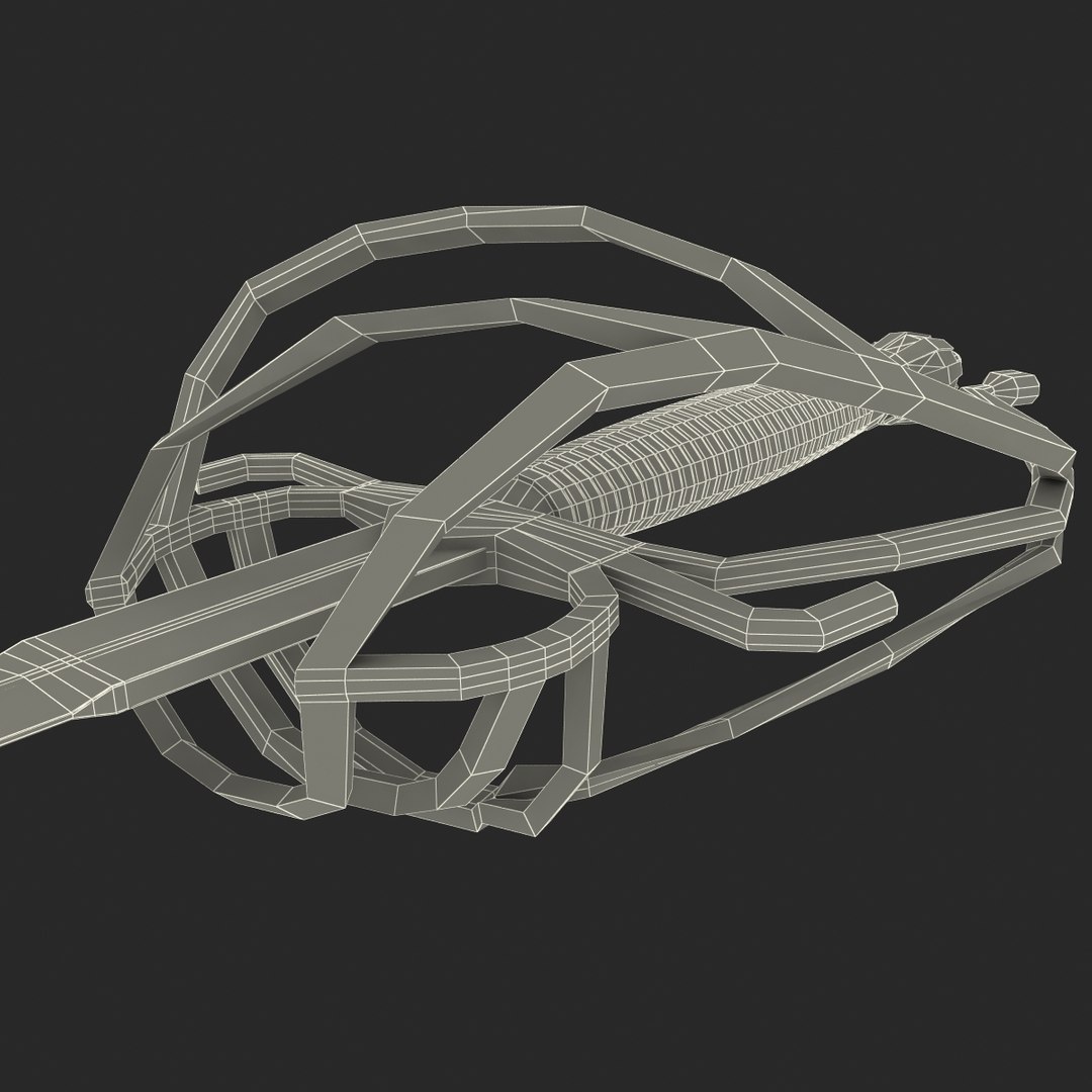 3ds Max Rapier