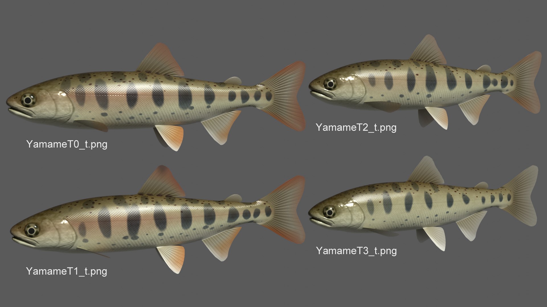 landlocked yamame 3ds