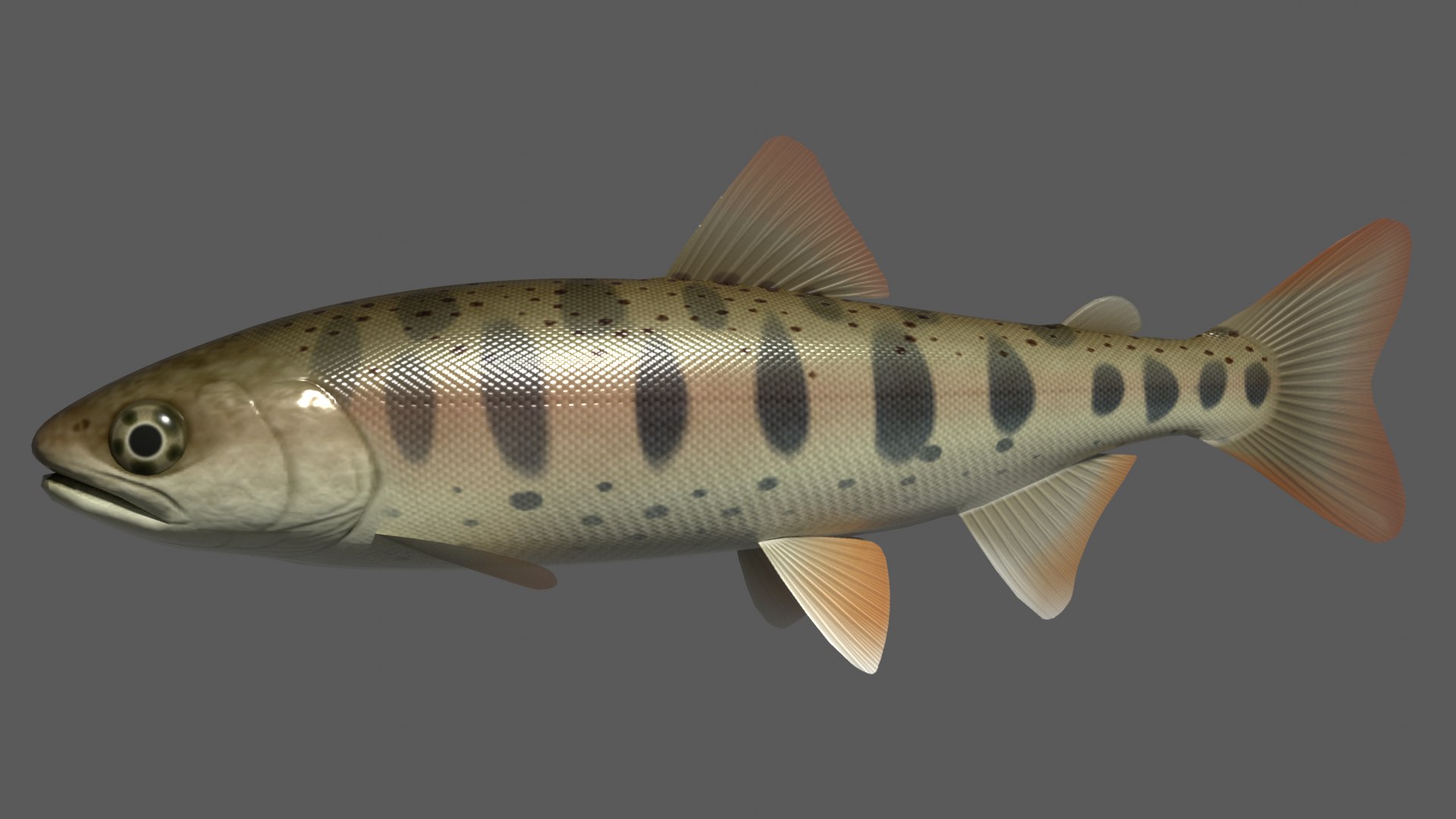 landlocked yamame 3ds