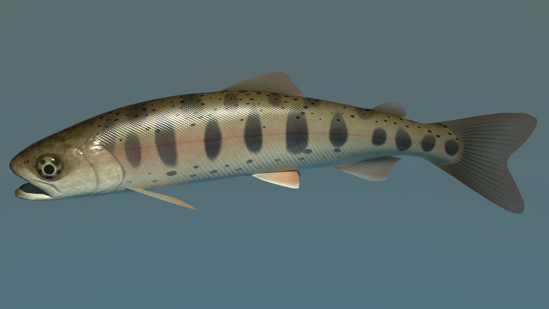 landlocked yamame 3ds