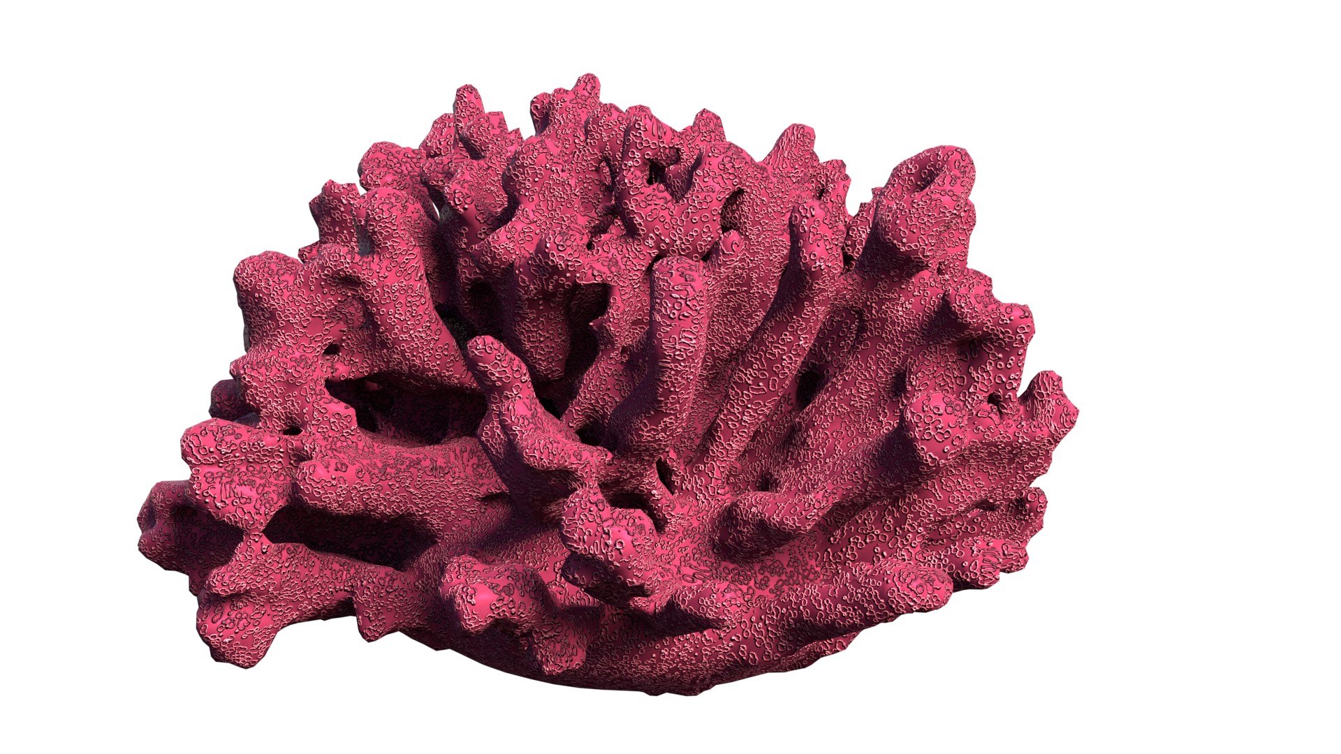 3D Coral Reef V1 - TurboSquid 2370930