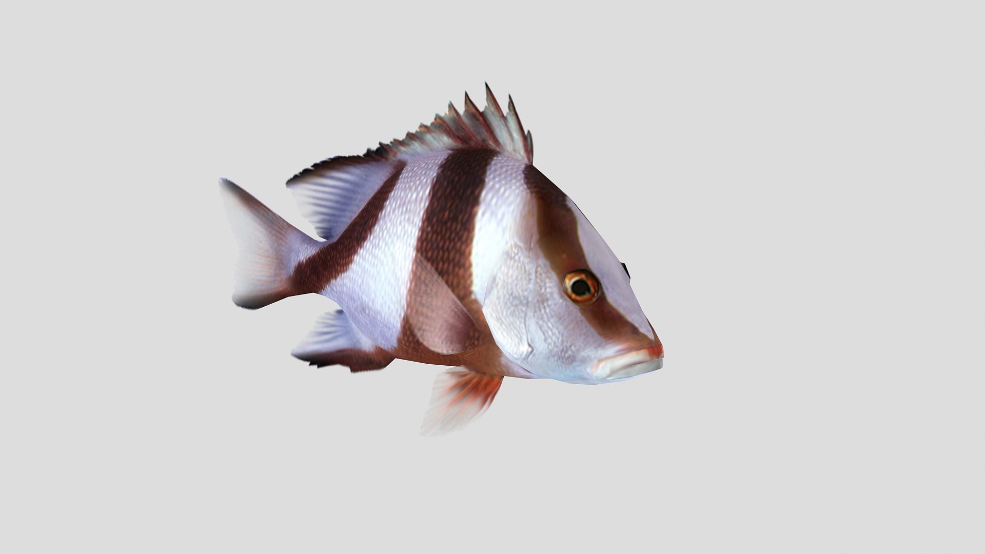 Emperor Red Snapper Fish 3D - TurboSquid 1384322