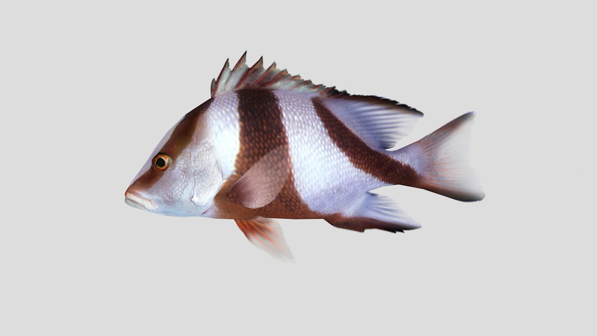 Emperor Red Snapper Fish 3D - TurboSquid 1384322