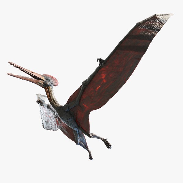 modelo 3d Pterodáctilo animado - TurboSquid 1667169