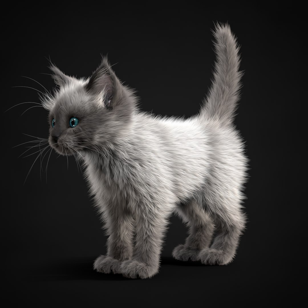 C4d Kitten White