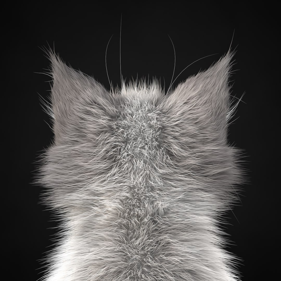 C4d Kitten White