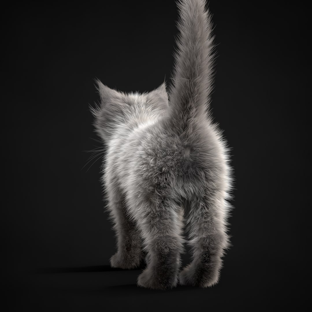 C4d Kitten White