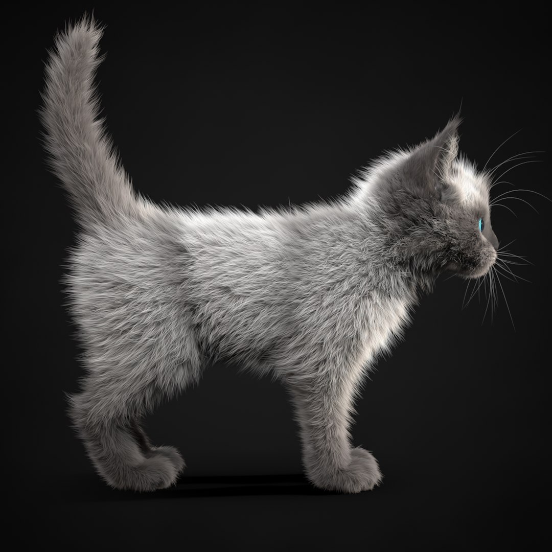 C4d Kitten White