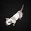 C4d Kitten White