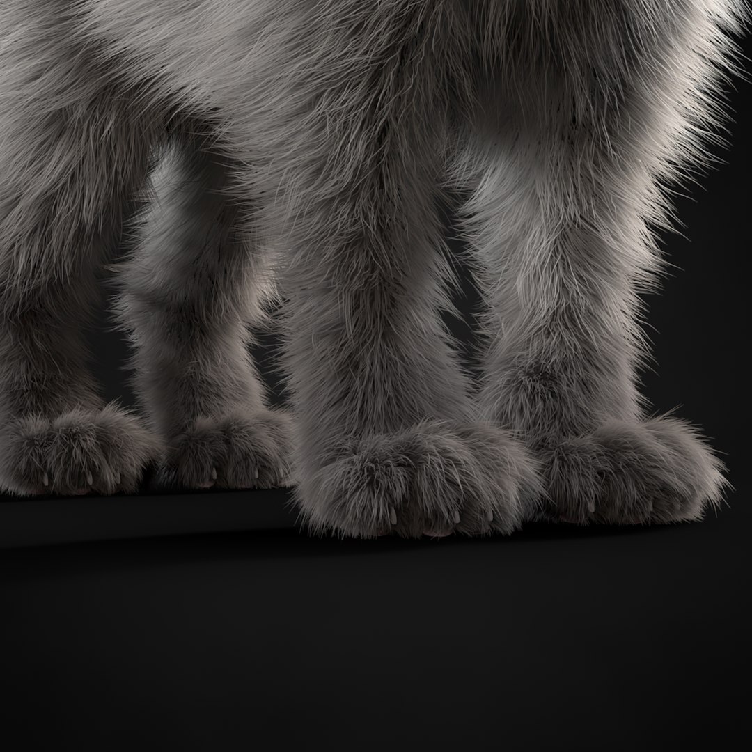 C4d Kitten White