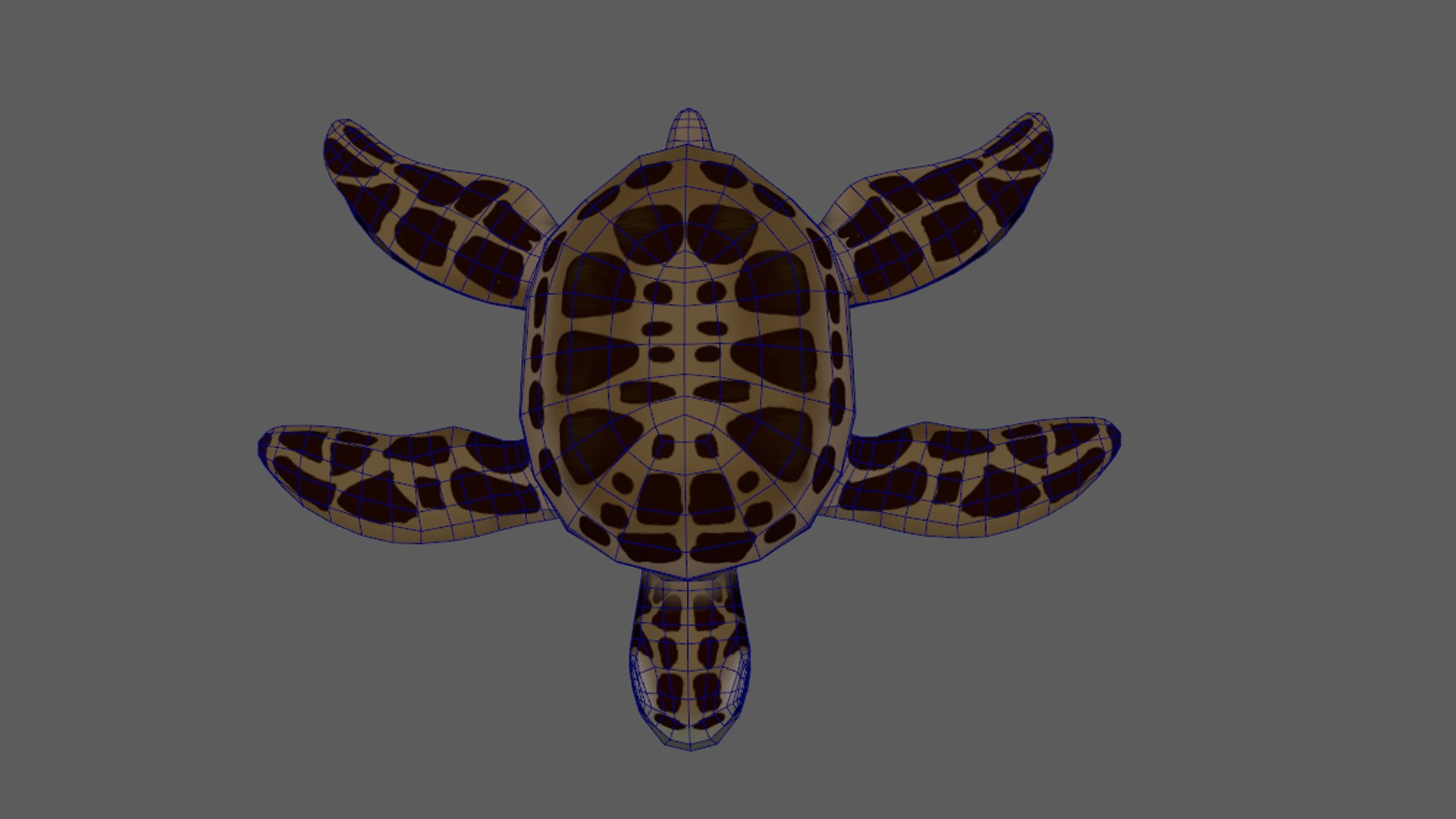 3D Sea Turtle Model - TurboSquid 1729259