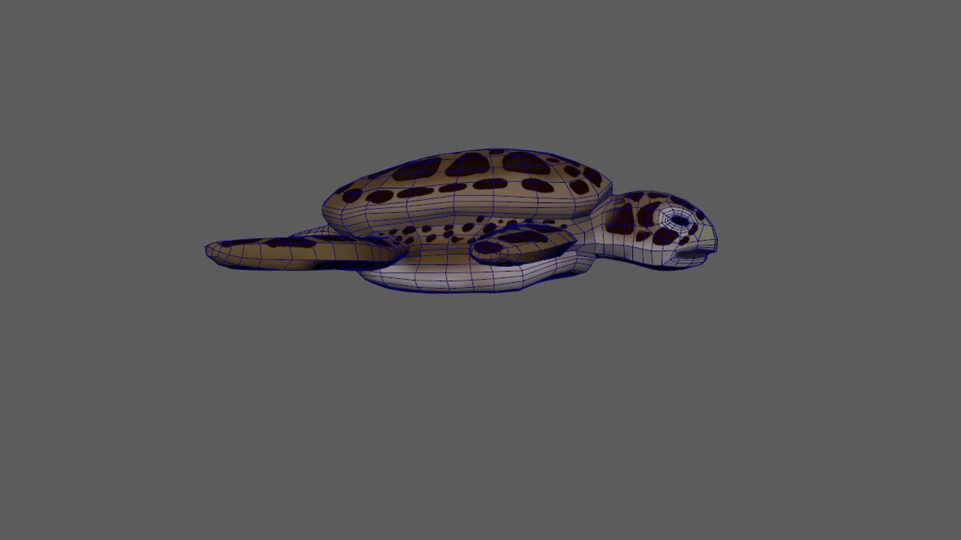 3D Sea Turtle Model - TurboSquid 1729259