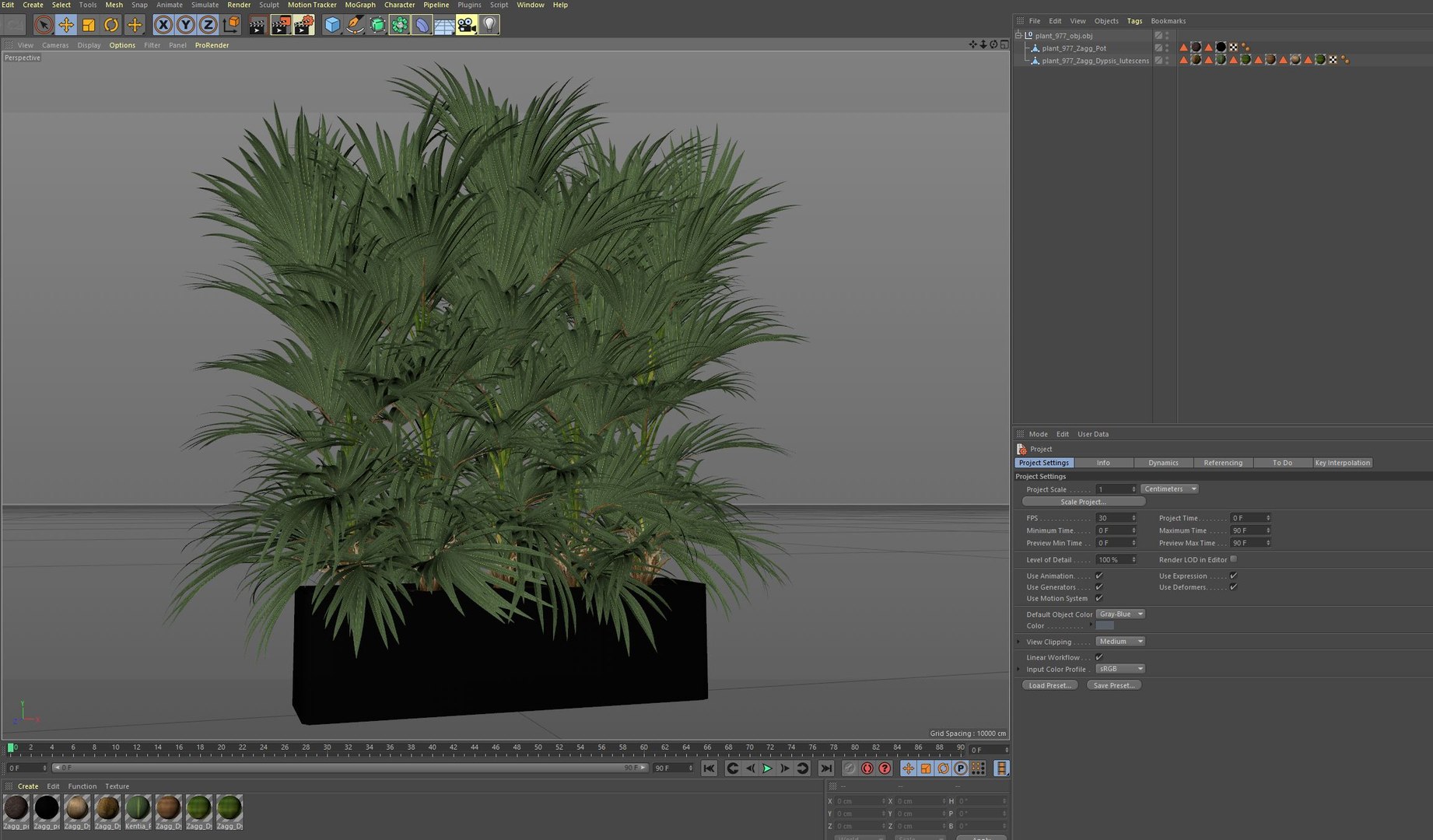 3D Model Plants Collection 977 - TurboSquid 2102370