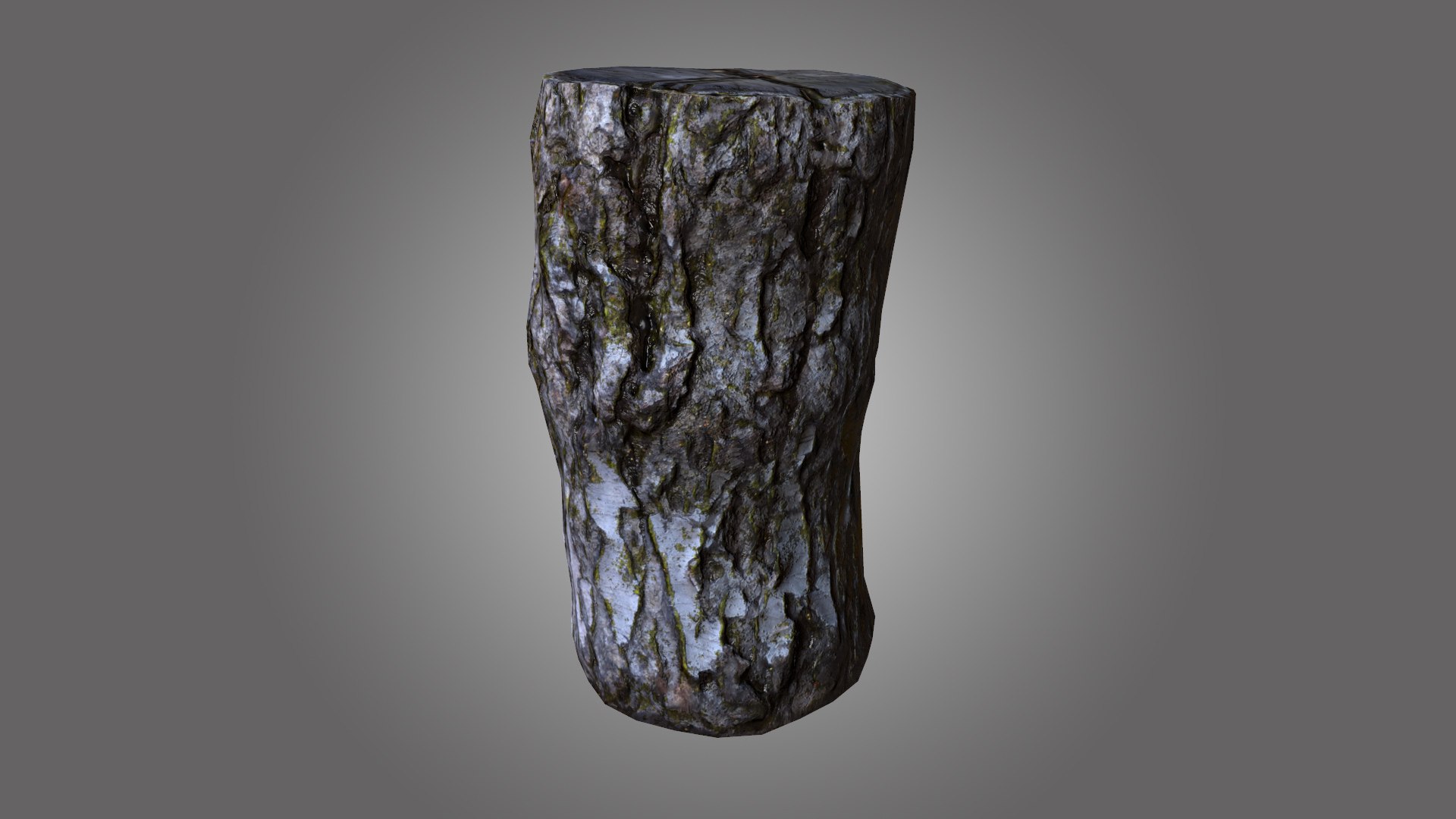 Birch Log Pbr 3D Model | 1143734 | TurboSquid