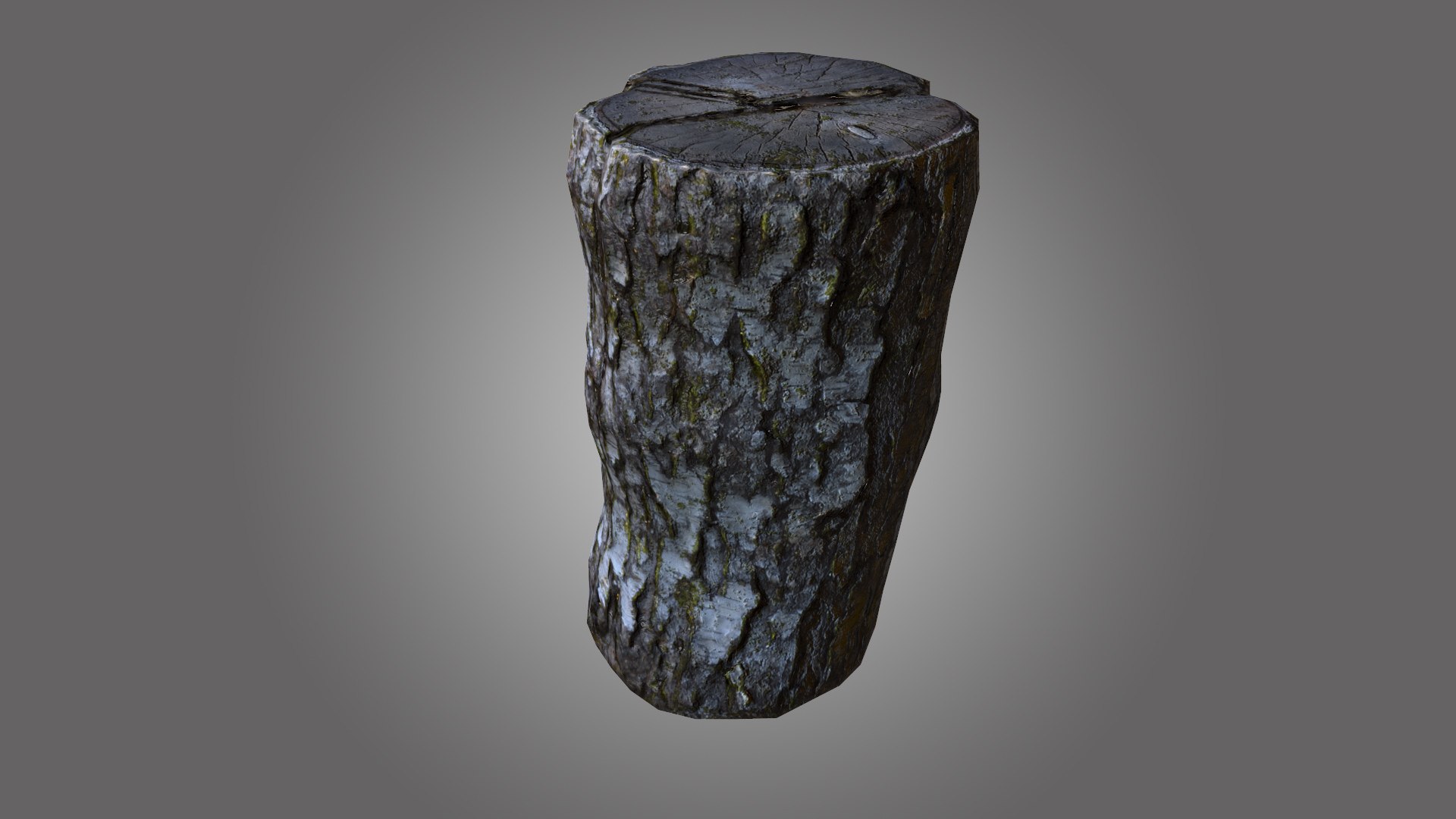 Birch Log Pbr 3D Model | 1143734 | TurboSquid