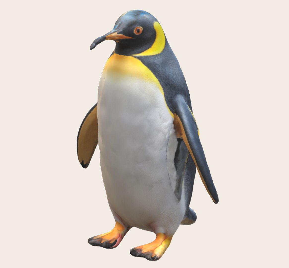 3D Penguin Model - TurboSquid 2282850