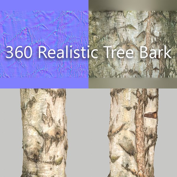 3d model 360 tree bark