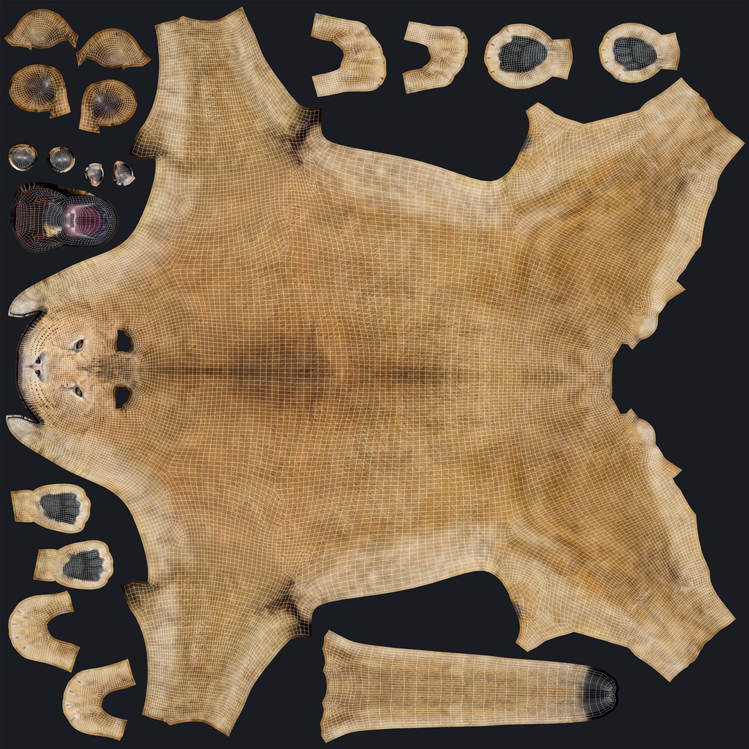 3D Lioness Rigged FUR - TurboSquid 1761948