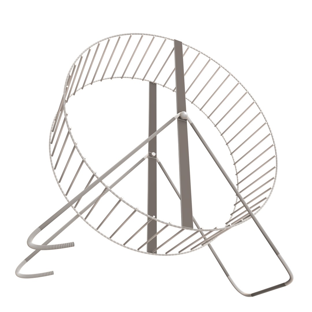 3D Hamster Wheel Model - TurboSquid 1767515