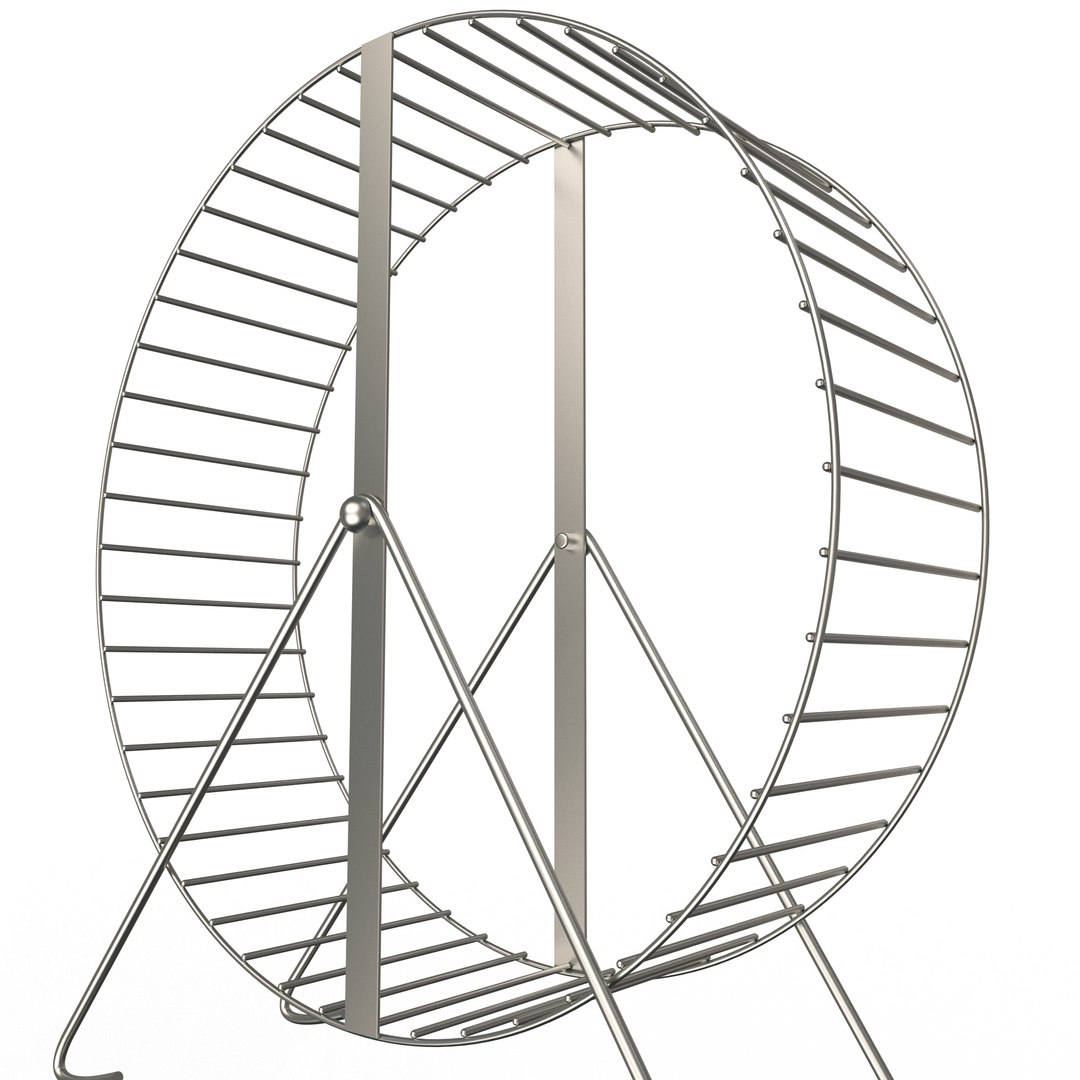 3D Hamster Wheel Model - TurboSquid 1767515