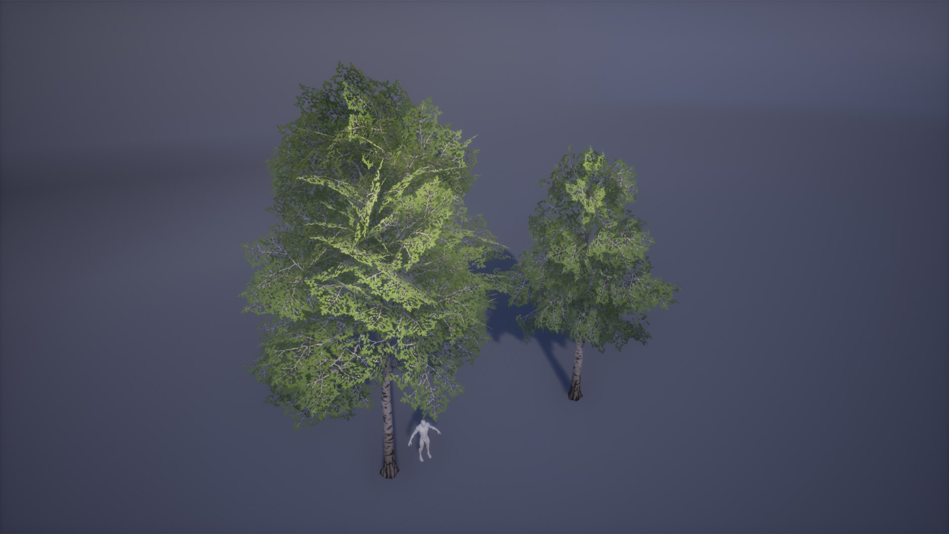 3D Realistic Birch Tree Set Model - TurboSquid 1609224