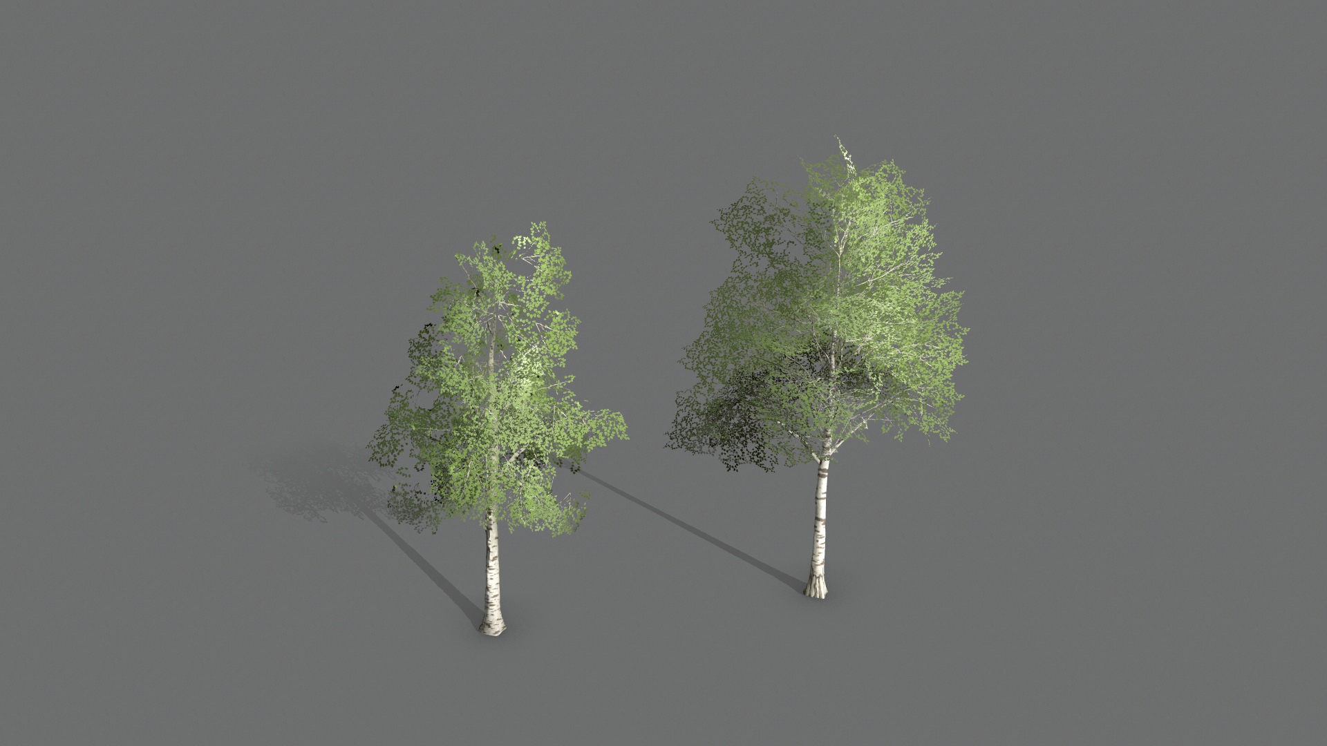 3D Realistic Birch Tree Set Model - TurboSquid 1609224