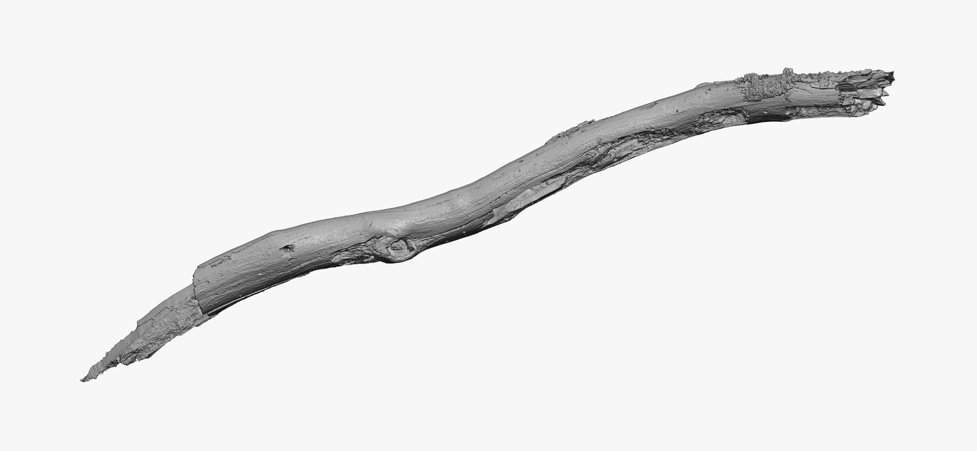 3D model Broken Branch 02 RAW Scan - TurboSquid 2143327