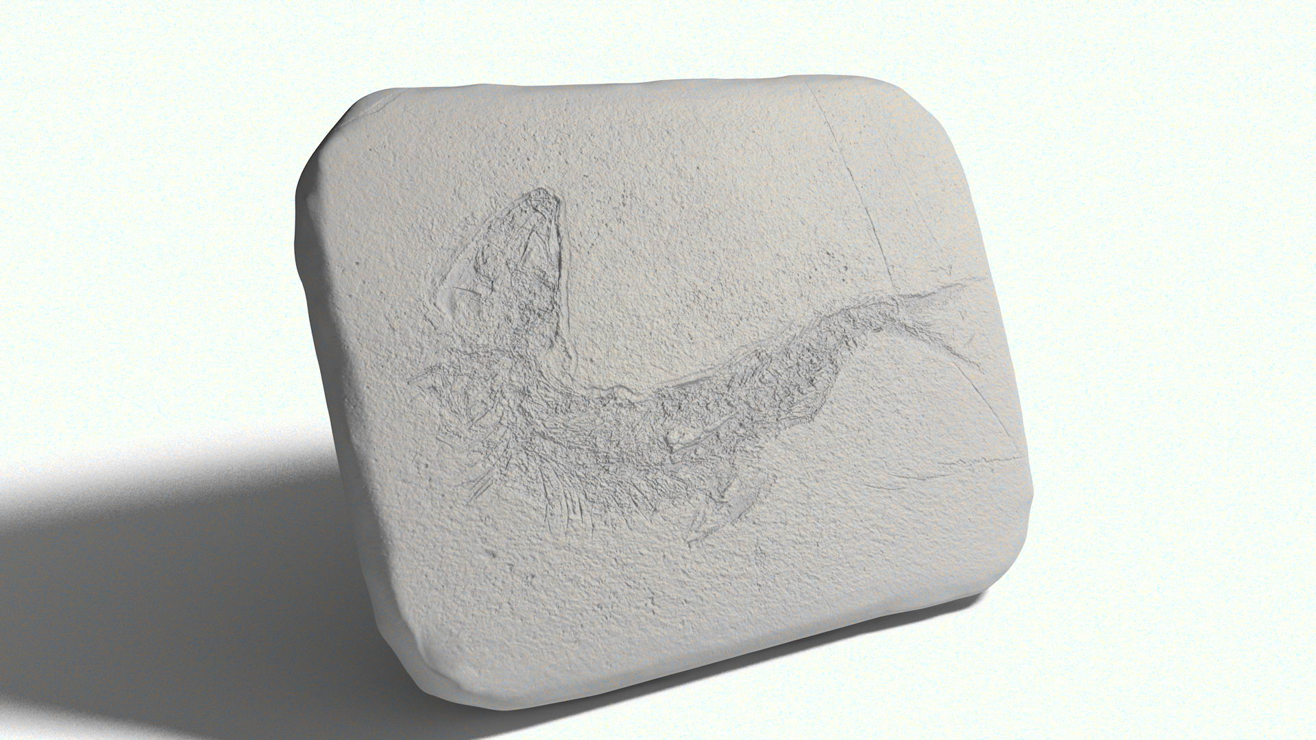 3D Fossil Stone Fish - TurboSquid 1180225