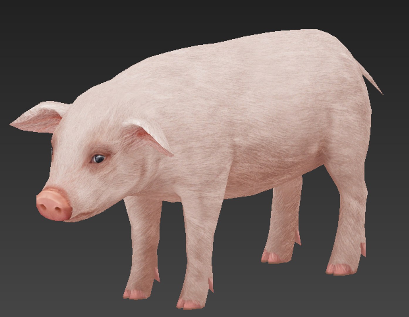 Pig 3D - TurboSquid 1532886