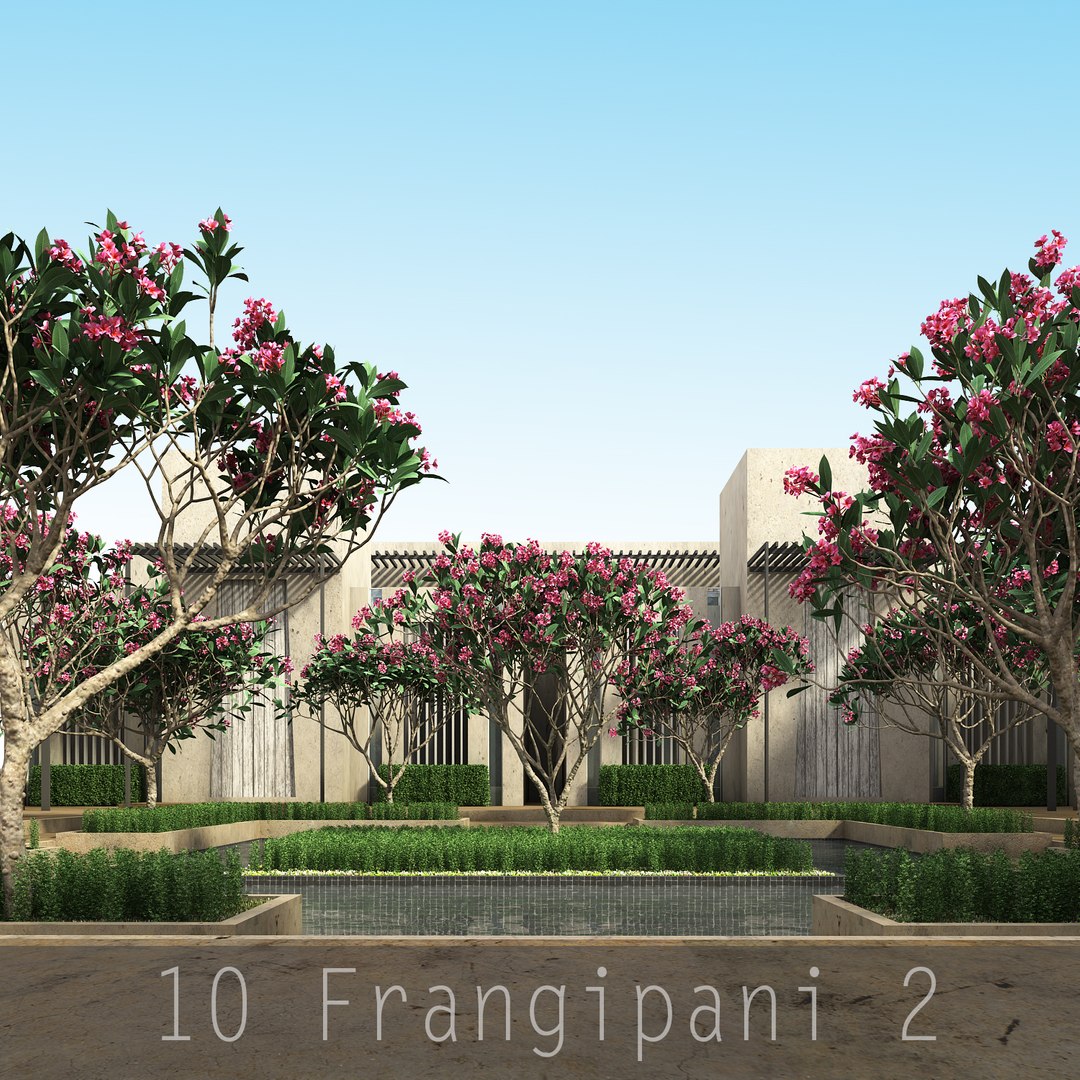 2 Flower 10 Tree Obj