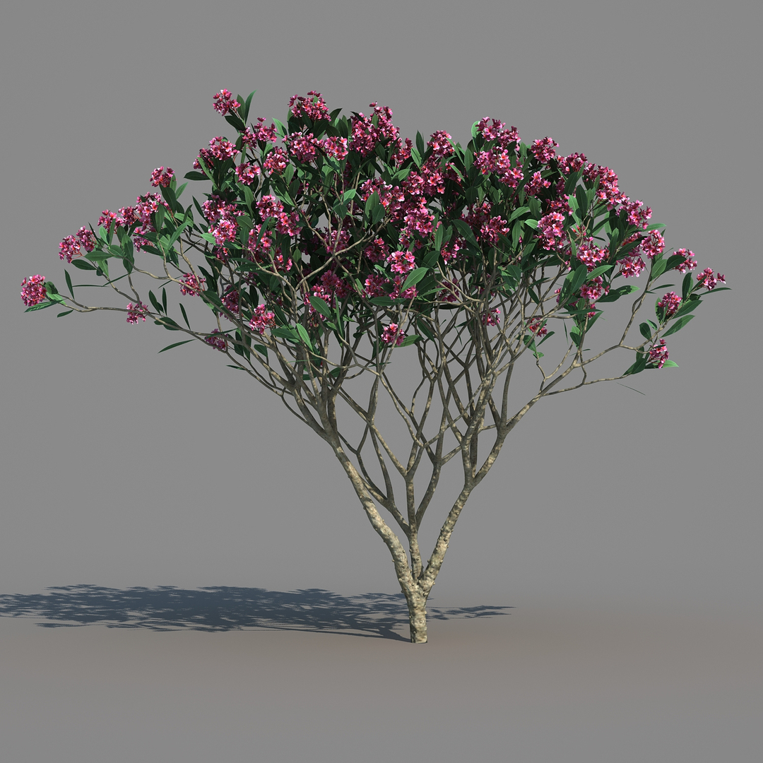 2 Flower 10 Tree Obj