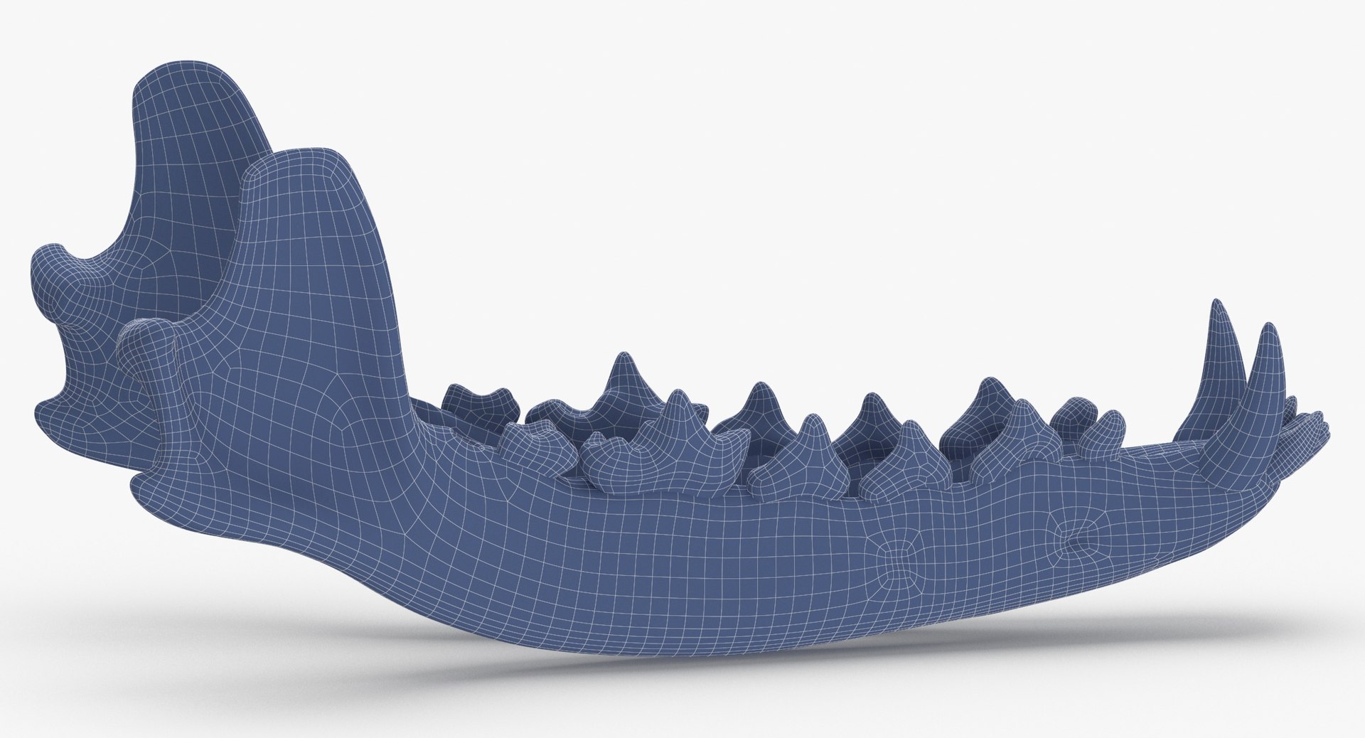 3D Red Fox Jaw 01 - TurboSquid 1546088