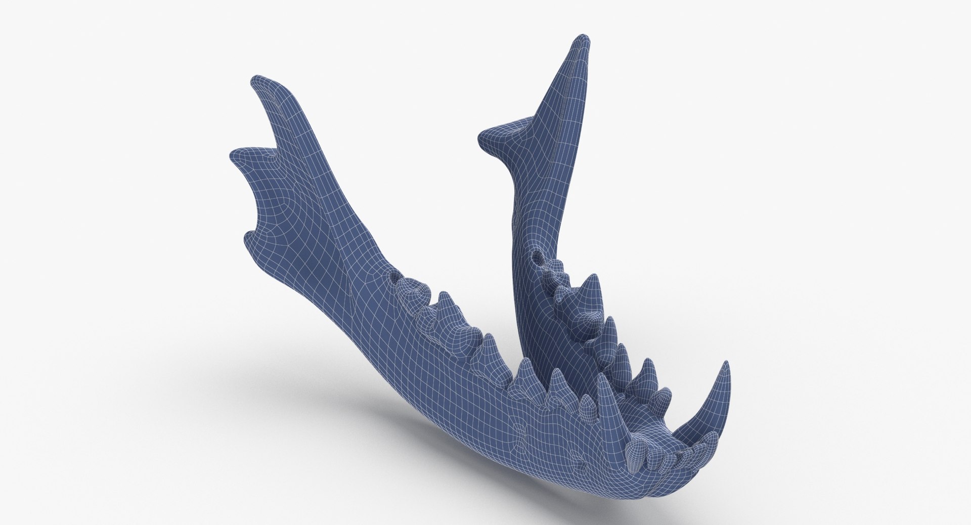 3D Red Fox Jaw 01 - TurboSquid 1546088