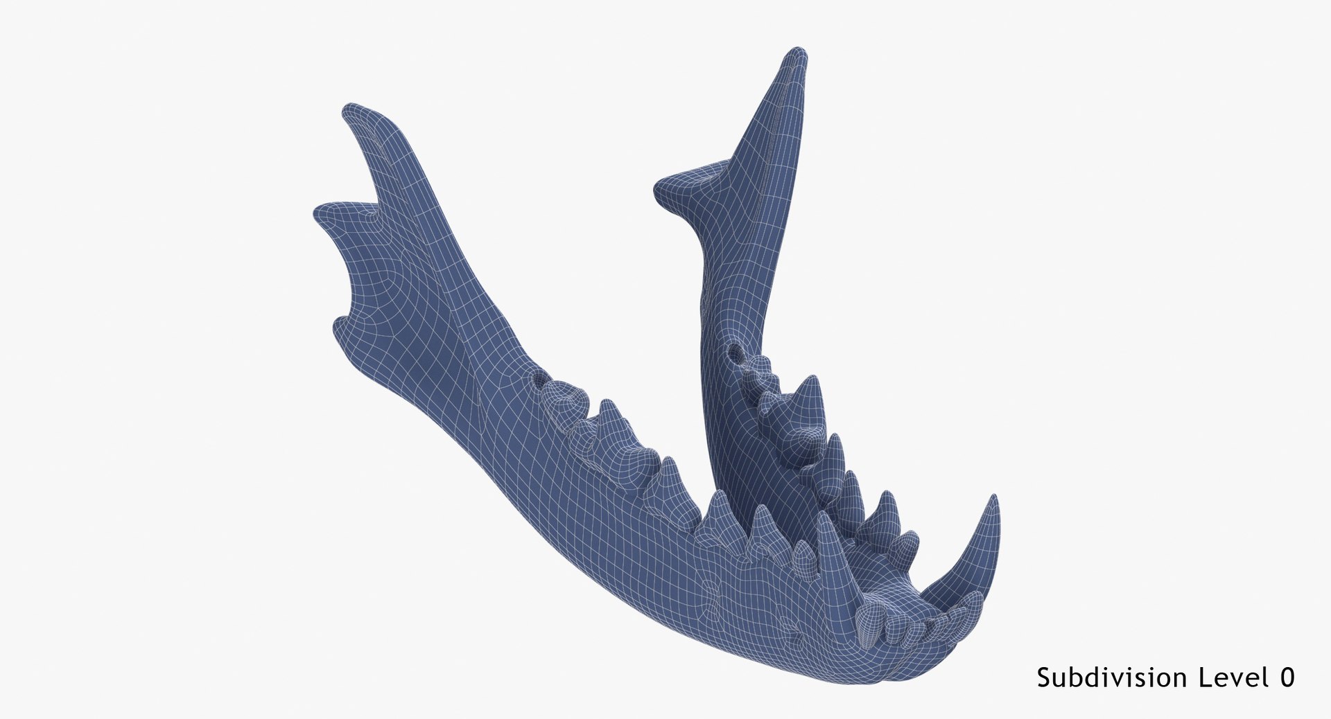 3D Red Fox Jaw 01 - TurboSquid 1546088