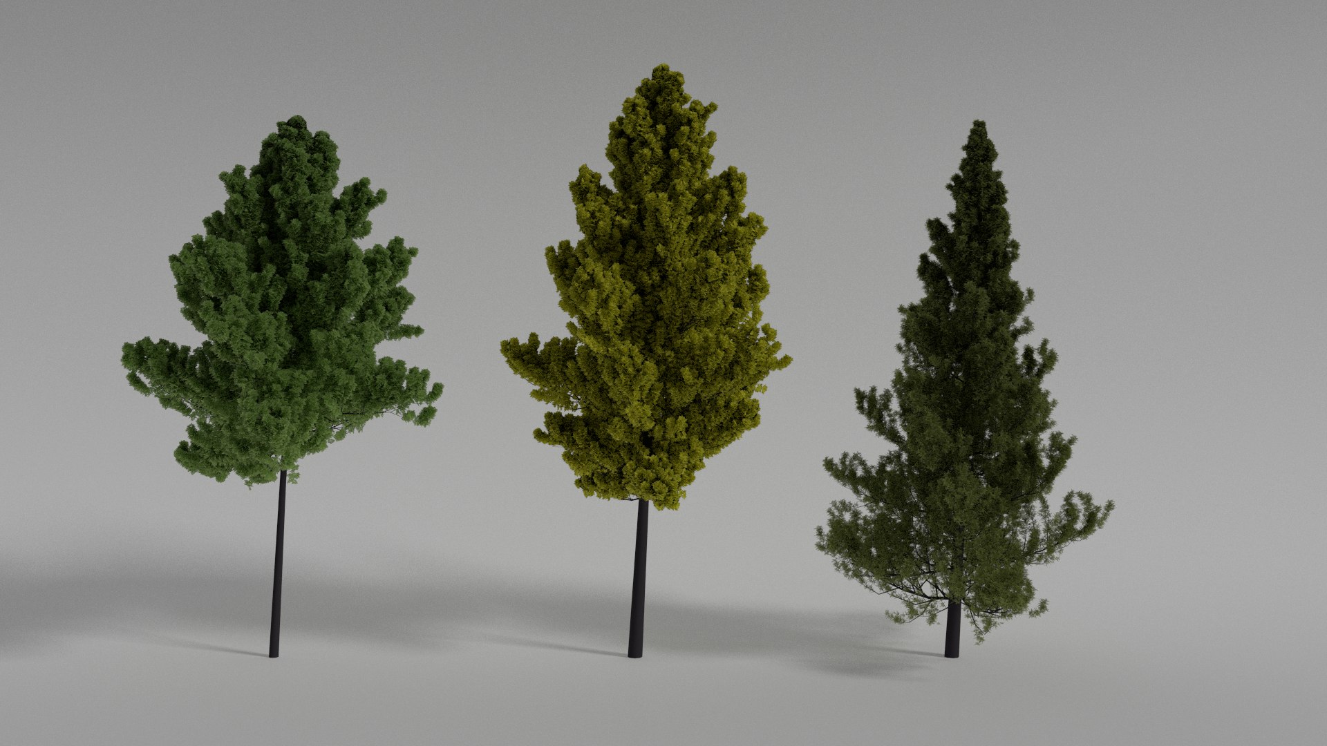 3D Tree Hight-poly - TurboSquid 1230146
